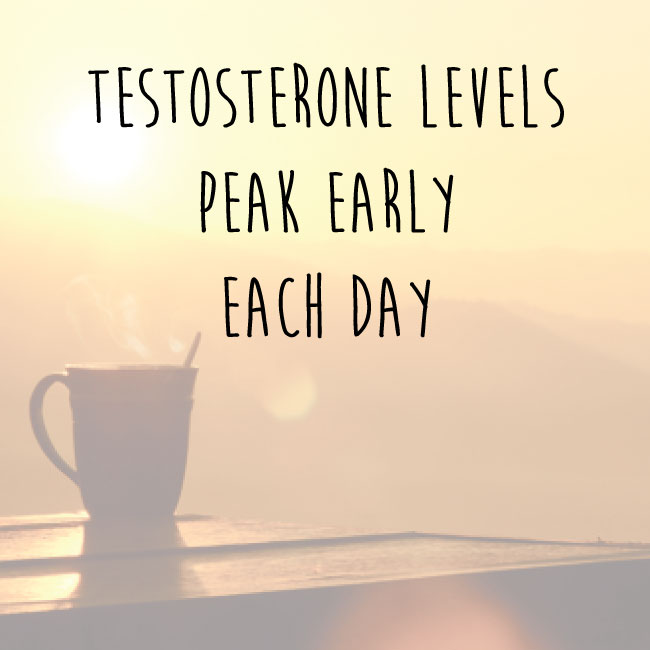 Testosterone Fact: - Denver Hormone Health